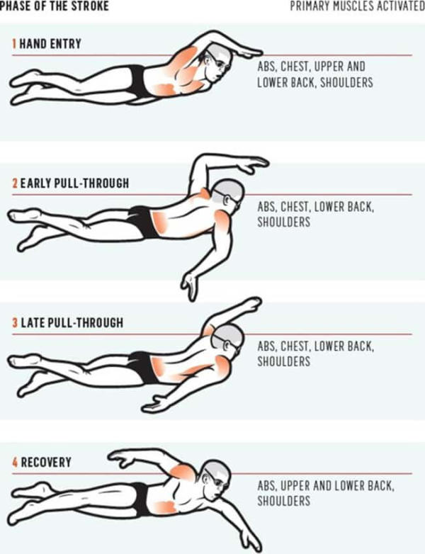 The Science Behind Swimming: How Water Resistance Shapes Performance ...